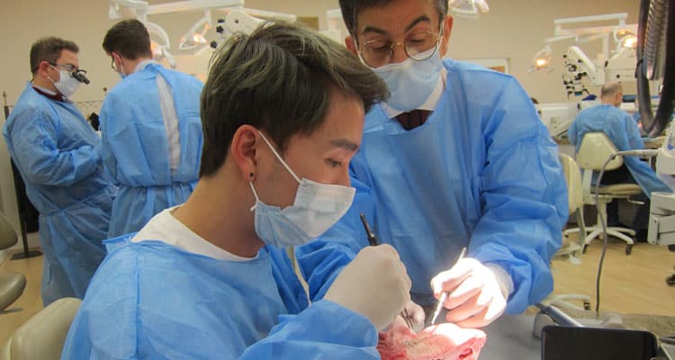 Implant Insertion, Reconstruction and Beyond - IDEA